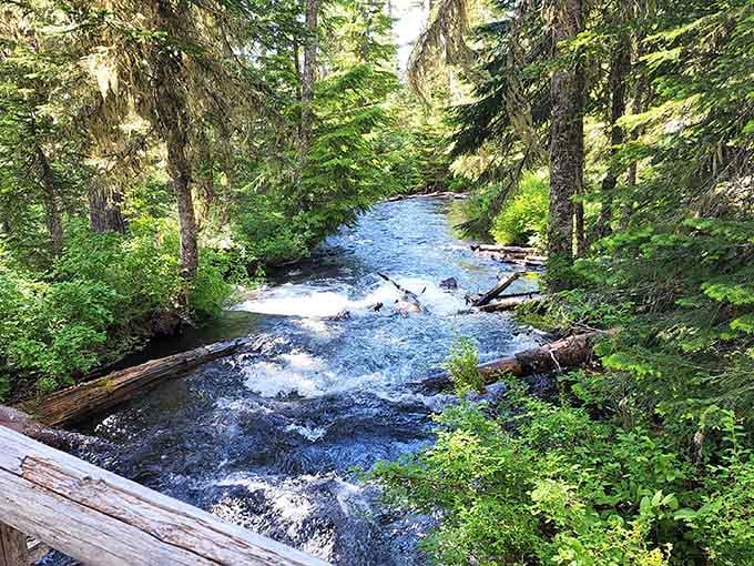 Crystal-clear streams feed the lake with snowmelt, keeping the water so pure scientists get genuinely excited about it.
