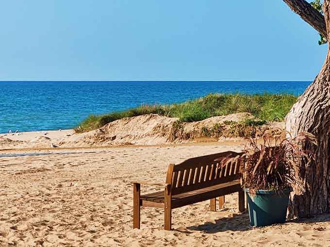 A solitary bench positioned perfectly for sunset watching or contemplating why you don't visit more often.