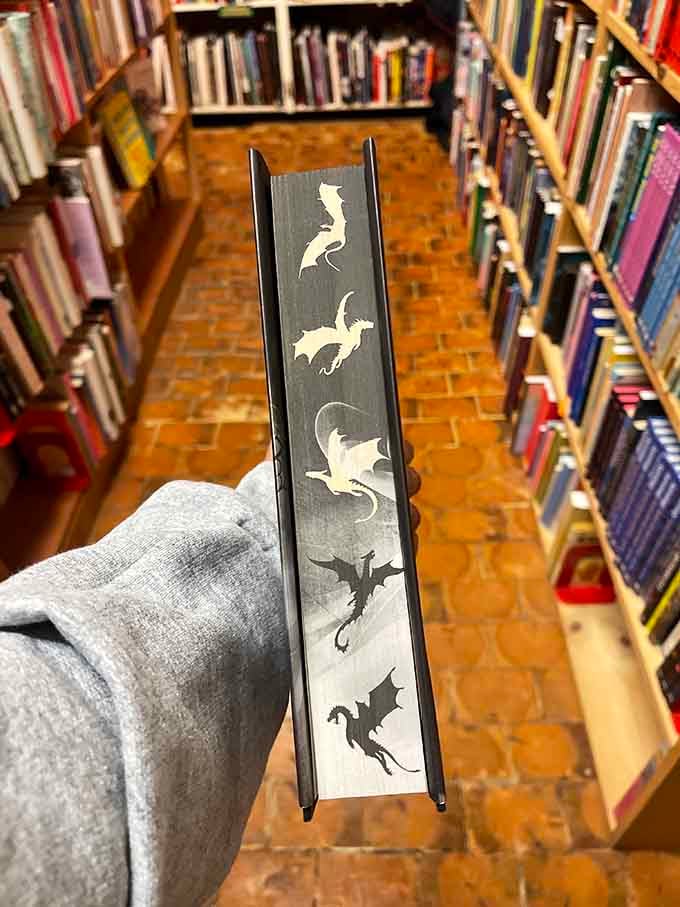 Fantasy fans will flip for this metal bookmark featuring dragons in flight, perfect for marking epic adventures.
