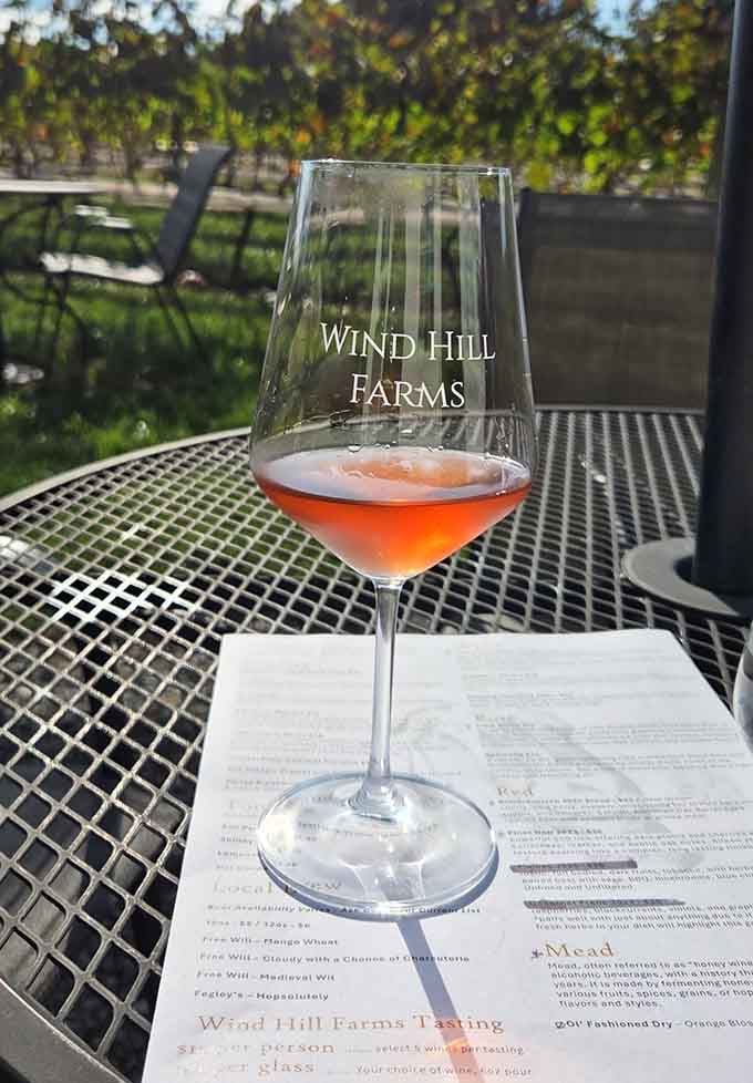 Blush-pink ros&eacute; catching the afternoon light proves that sometimes the prettiest wines taste just as good as they photograph.