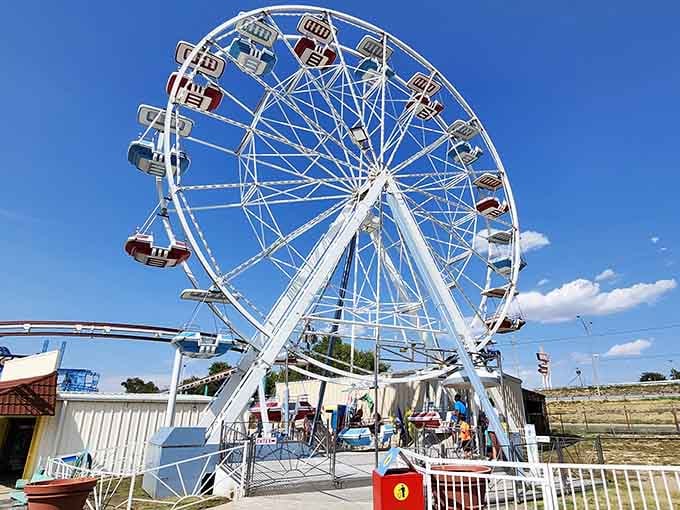 The Wonder Wheel offers slow-spinning serenity high above the hustle and happy chaos below.