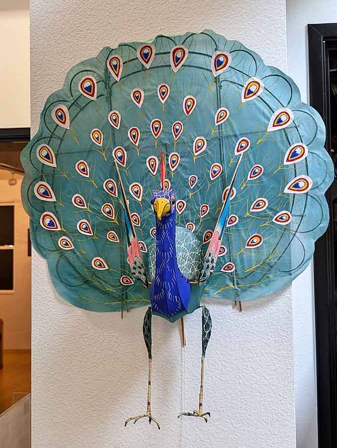 A peacock kite displaying its full plumage reminds us that nature's showoffs inspired humanity's most colorful creations.