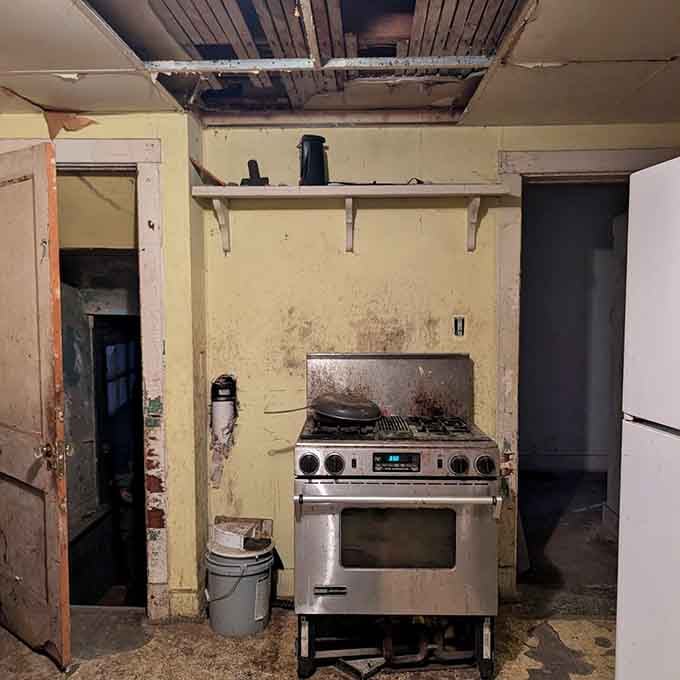 That vintage stove witnessed countless family dinners; now it just witnesses the slow march of decay and regret.