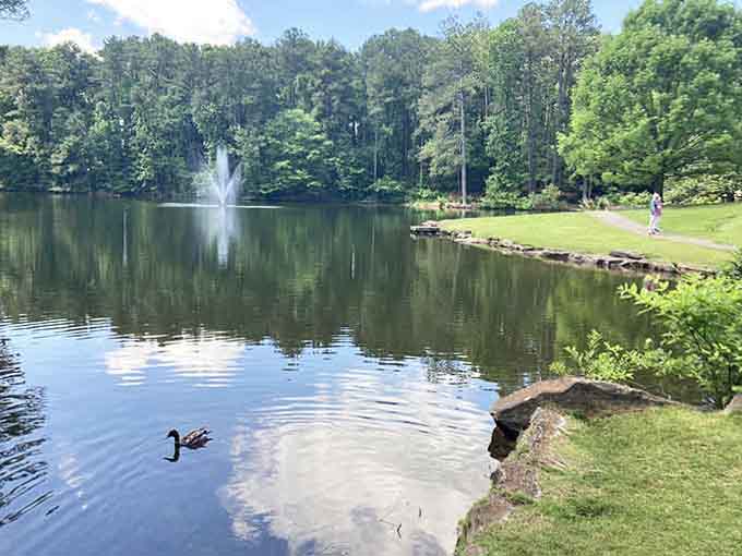A tranquil lake mirrors the sky while a lone duck glides by, living its best life in this peaceful urban oasis.