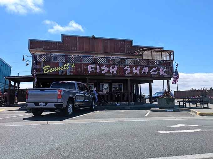 That weathered wood and harbor view tell you everything: this is where fishing boats and hungry people meet.