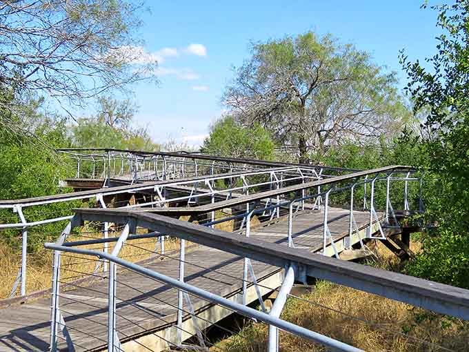 This elevated walkway lets you glide above the wetlands like a bird, offering views that binoculars were practically invented for.