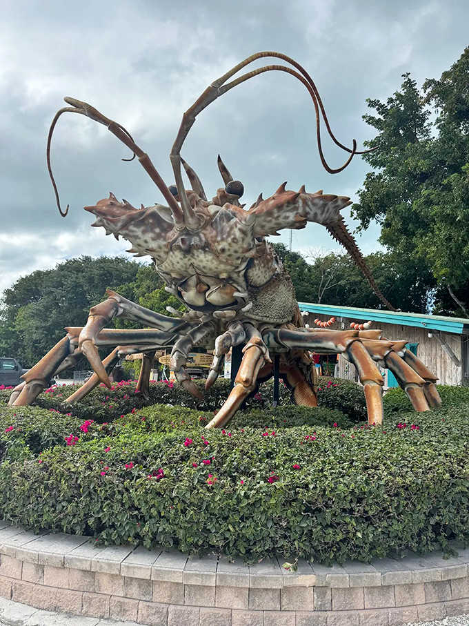 This giant lobster sculpture towers over the highway like Godzilla's seafood-loving cousin decided to visit the Keys.