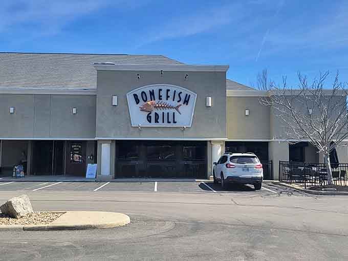 Clean lines and understated elegance prove you don't need fishing nets everywhere to serve exceptional seafood.