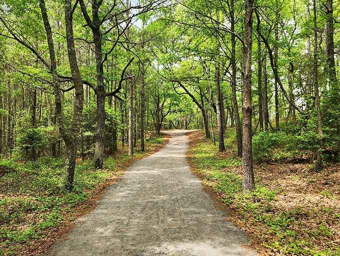Wild ponies would graze peacefully in the marsh, living their best island life while you watch from nature's free front-row seat.