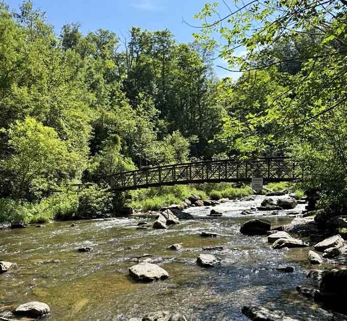 This peaceful footbridge crosses crystal-clear waters where smooth stones rest beneath gentle currents and dappled sunlight.