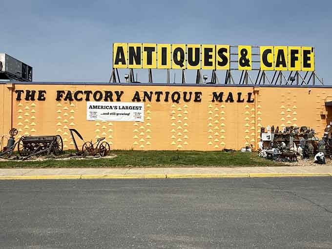 That bold yellow sign practically shouts "treasure inside!" and honestly, it's not lying about what awaits.