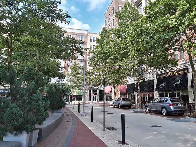 Tree-canopied sidewalks and local businesses remind you that some places still value pedestrians over parking lots everywhere.