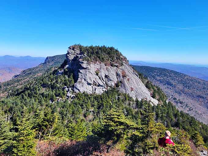 That rocky peak wears its forest coat like a crown, standing proud against endless mountain horizons.