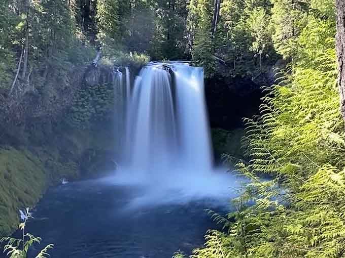 Koosah's powerful torrents crash into impossibly blue water, creating nature's most dramatic color contrast you'll ever witness.