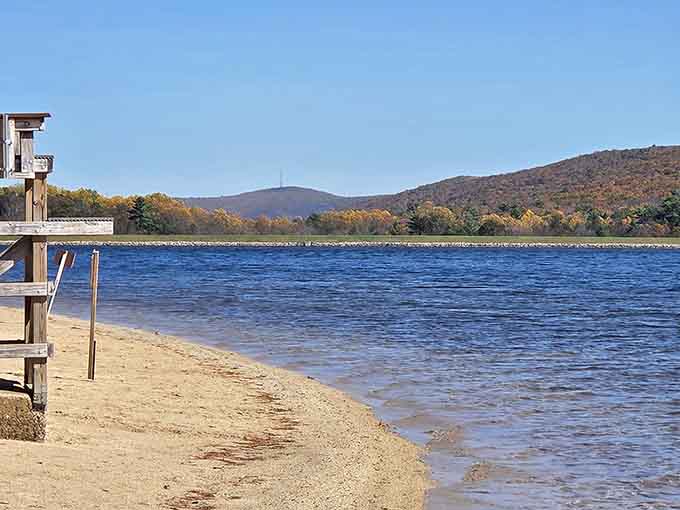 Mountain peaks frame this sandy beach where gentle waves lap the shore under impossibly blue autumn skies.