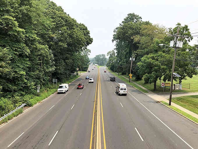 Tree-canopied roads create natural tunnels of green, offering scenic drives that feel like peaceful Sunday afternoon escapes.