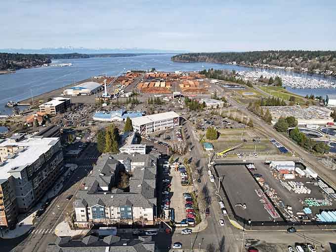 Olympia spreads out like a maritime masterpiece where working waterfront meets island gateway dreams perfectly.