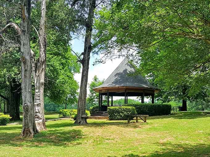 These whimsical tree carvings turn an ordinary park stroll into a delightful treasure hunt for all ages to enjoy.