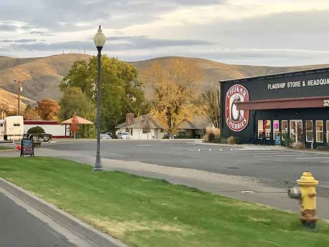 Rolling hills frame this downtown area where autumn colors and old-fashioned street lamps create pure small-town magic.