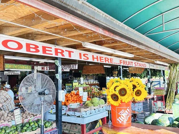 Mountains of fresh citrus, cheerful sunflowers, and that famous milkshake counter make this legendary fruit stand absolutely unmissable today.