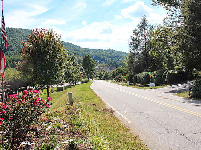 Follow the winding asphalt! Those pink roses add a sweet, floral touch to the journey.