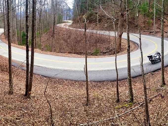 The pavement ribbons through bare winter woods, each switchback a new chapter in your mountain driving story.