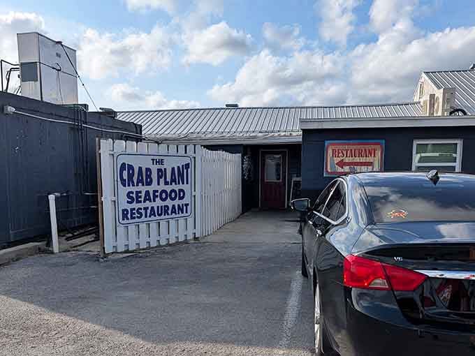 Industrial-chic meets seafood shack, and somehow it works perfectly for serving up the day's fresh haul.