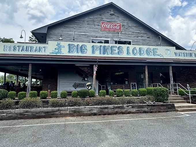 Big Pines Lodge wears its vintage Coca-Cola sign like a badge of honor, promising good food and even better memories.
