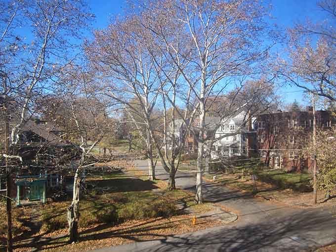 Residential streets curve gently past Victorian homes that could inspire an entire HGTV series about architectural beauty.