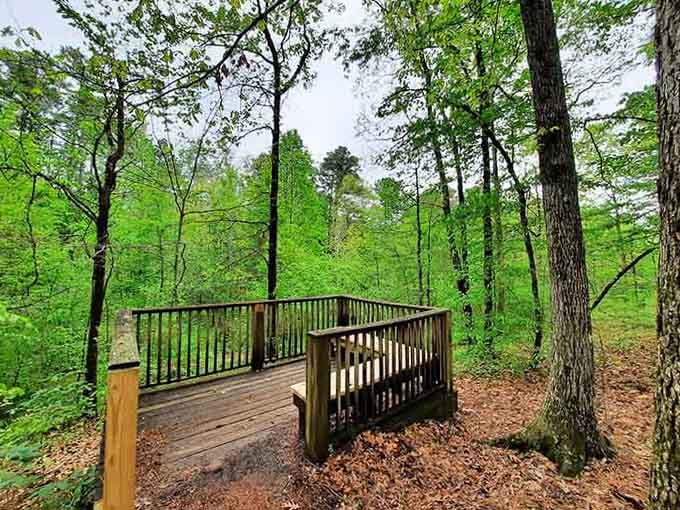 This wooden overlook perches among spring-green trees, offering a front-row seat to nature's most relaxing show of the season.