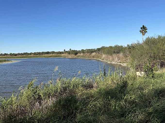 The peaceful water reflects the sky while palm trees sway gently, creating a subtropical oasis that feels worlds away from everyday life.