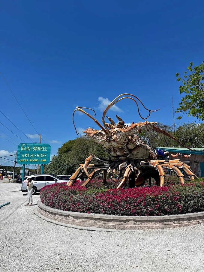 Betsy's massive claws reach skyward as if she's waving hello to every passing car on the Overseas Highway.