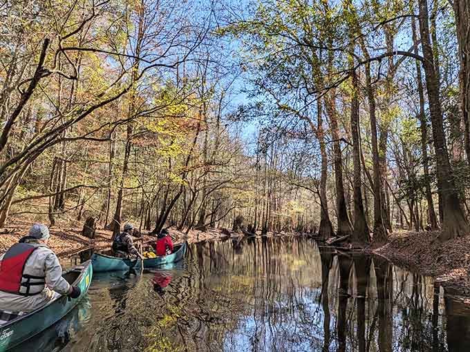 Paddling through mirror-still waters under a canopy of trees feels like discovering your own secret wilderness.