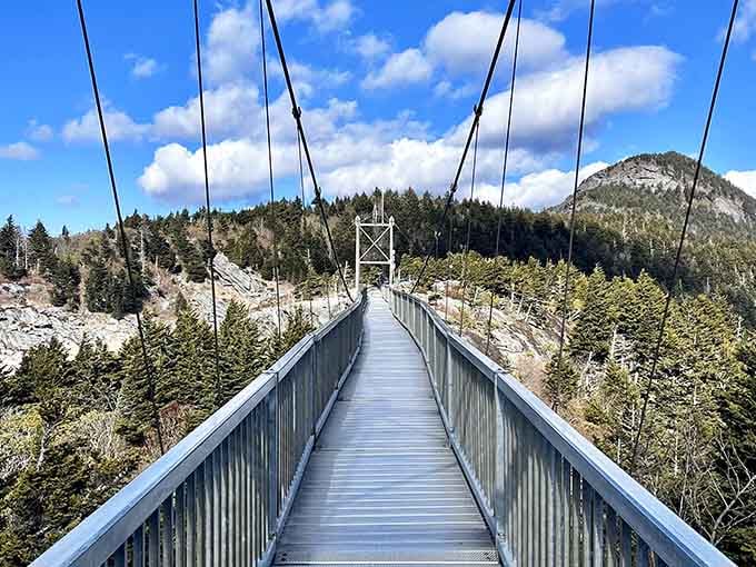 The swinging bridge stretches toward adventure, with mountain views that make your heart do a little happy dance.