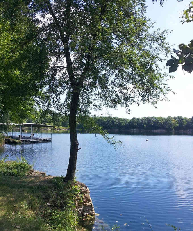 Peaceful waters reflect the trees in mirror-perfect stillness, nature's own meditation app without the subscription fee.