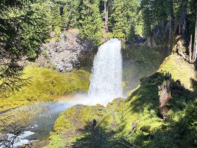 A rainbow arcs through the mist as sunlight transforms ordinary water droplets into pure magic at this stunning cascade.