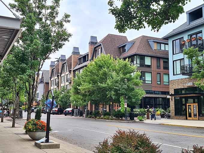 Tree-lined streets create natural canopies over sidewalks where neighbors stroll without looking over their shoulders constantly.