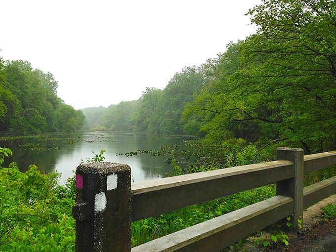 Tranquil waters mirror the surrounding forest, creating a serene spot where nature invites you to slow down.