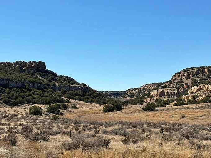 Rugged canyon walls frame the valley floor, where sagebrush and juniper dot the landscape in timeless high desert beauty.