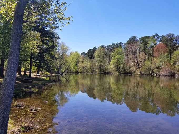 Trees mirrored in still water create a scene so peaceful, even your smartphone will want to take a break.
