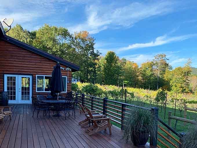 Morning light catches the vineyard's deck where Adirondack chairs wait patiently for visitors to sip, relax, and soak in those stunning views.