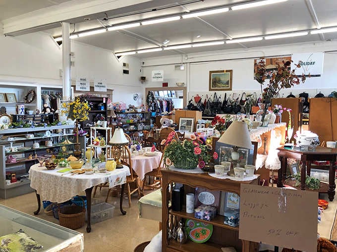 Bright overhead lighting illuminates every corner, so you won't miss that perfect vintage lamp hiding among the household goods.