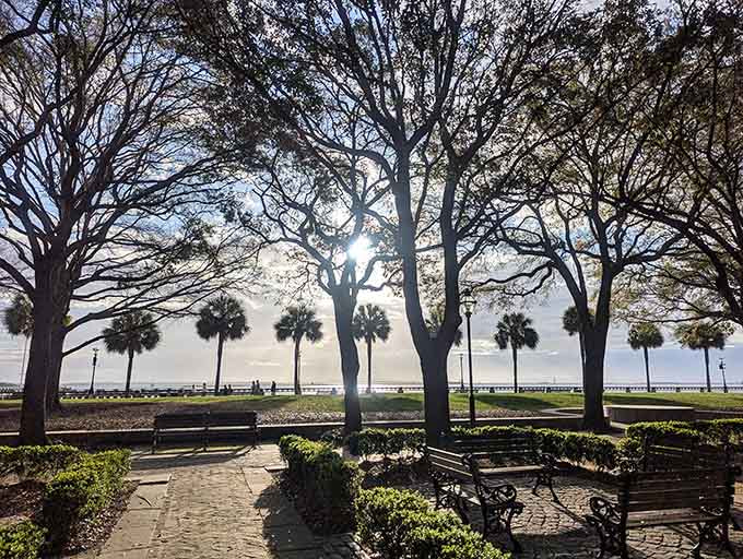 Morning light filters through ancient branches, casting shadows across paths where history and beauty walk hand in hand together.