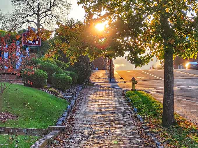 Golden hour sunlight filtering through trees onto brick sidewalks makes every evening stroll feel downright cinematic.