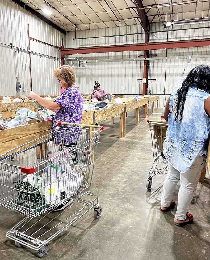 The focused determination of experienced bin shoppers is something to behold, like watching artists at work.