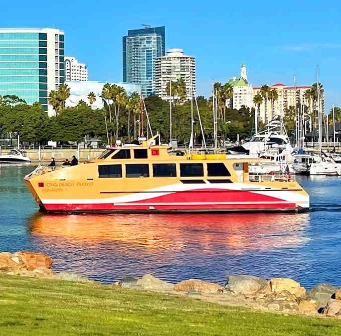 The Aqualink glides through the marina like it owns the place, because honestly, it kind of does.