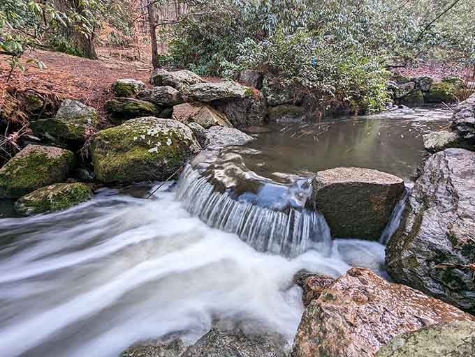 Water cascades over moss-covered rocks like a miniature Niagara, providing the soundtrack to your peaceful woodland escape.