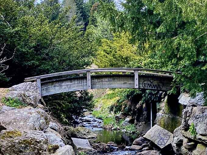 A charming footbridge over flowing water proves that even functional architecture can be downright romantic.