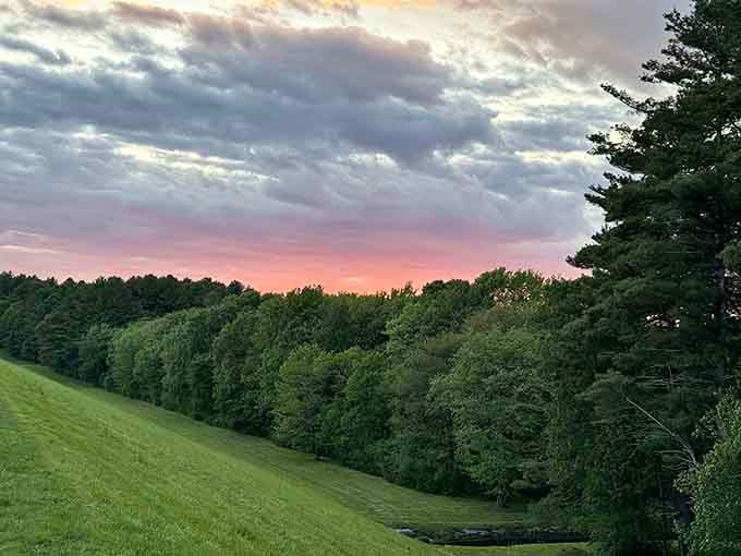 Pink and purple skies remind you that the best shows don't require tickets, just good timing and patience.