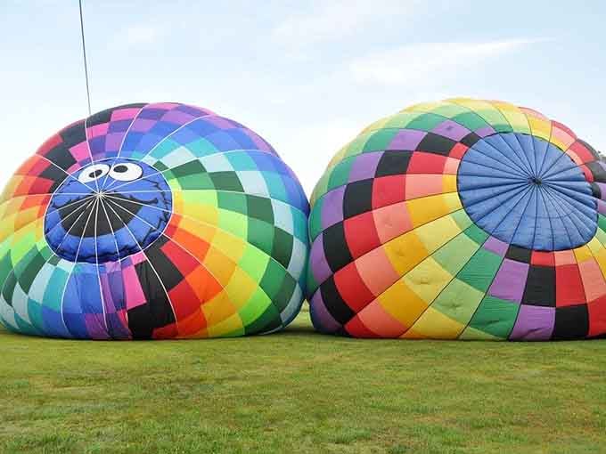 These colorful giants resting on the grass look like enormous beach balls at the world's most impressive picnic.